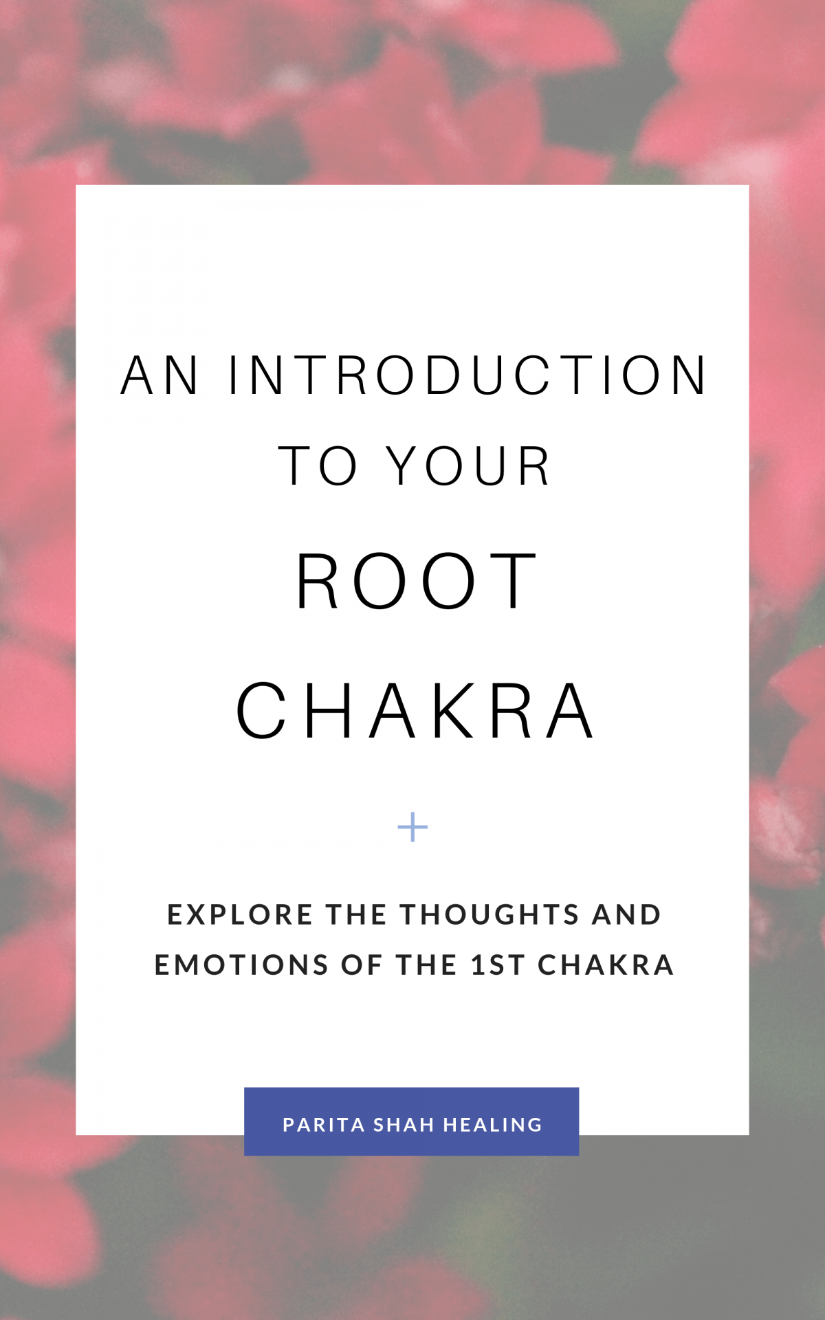 Introduction to the Root Chakra - Chakra Balancing